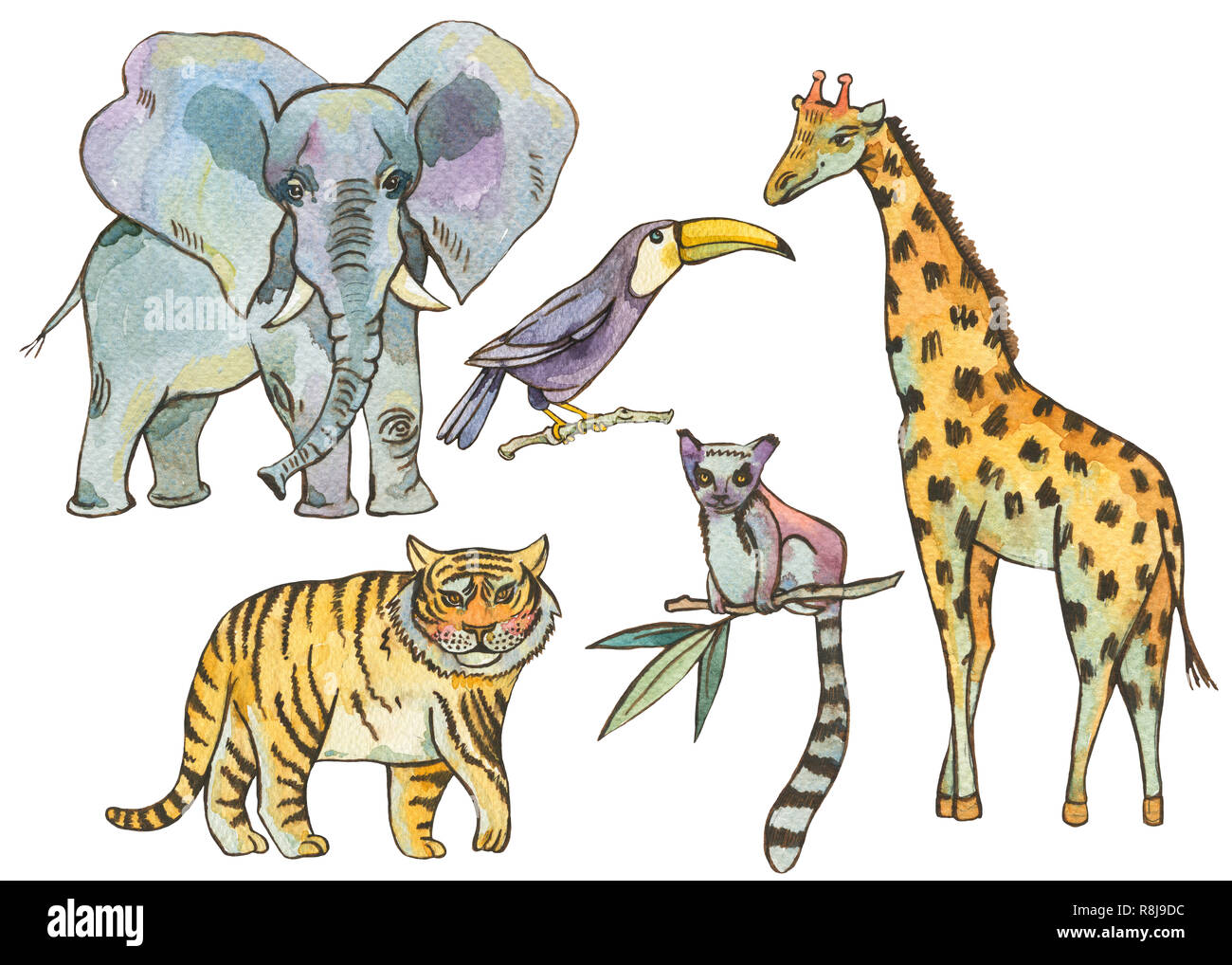 Tiger painting vintage Cut Out Stock Images & Pictures - Alamy