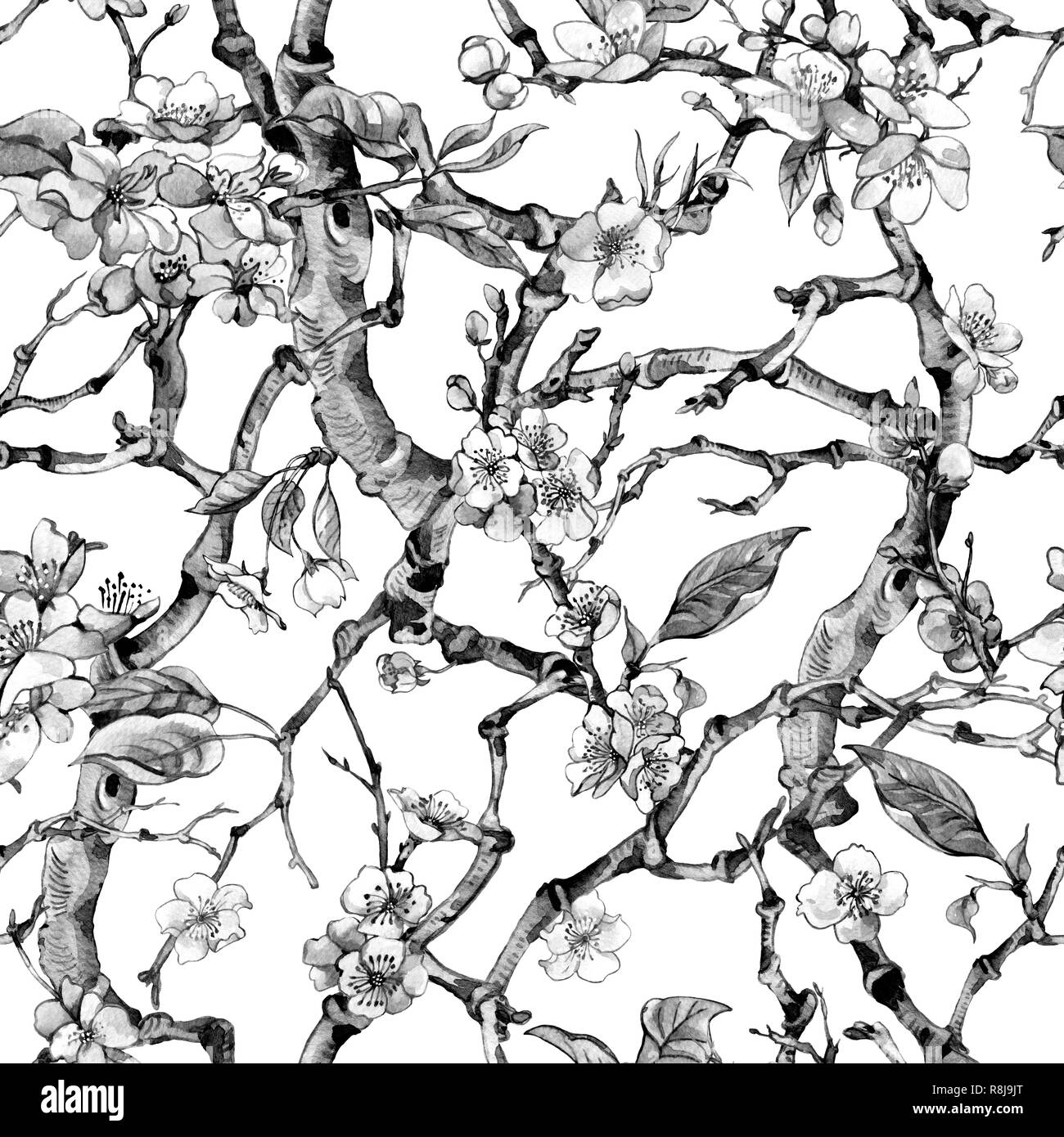 Sakura tree japanese watercolor Black and White Stock Photos & Images ...