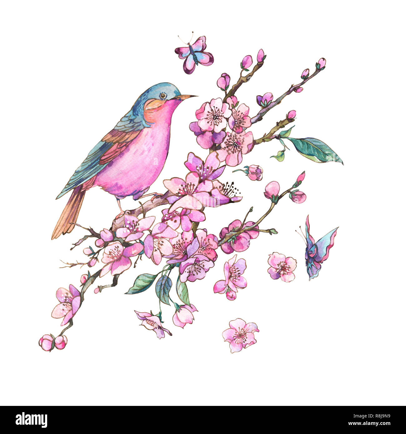 Floral peach color pattern Cut Out Stock Images & Pictures - Alamy