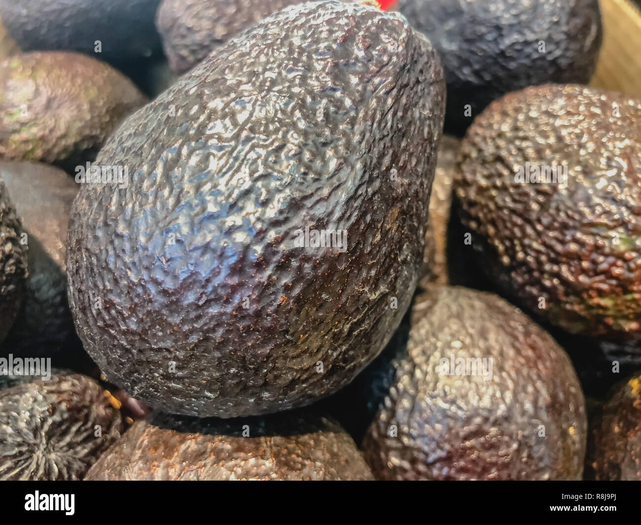 Avocado also refers to the Avocado tree's fruit, which is botanically a ...