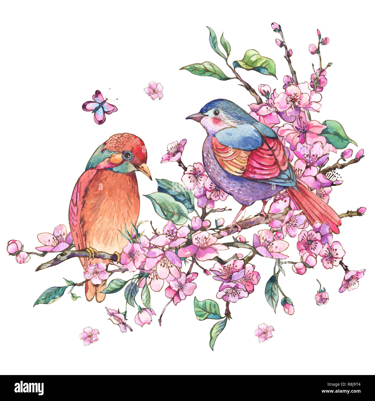 Beautiful Bird And Flower Drawing Beautiful Bird And Flower Coloring