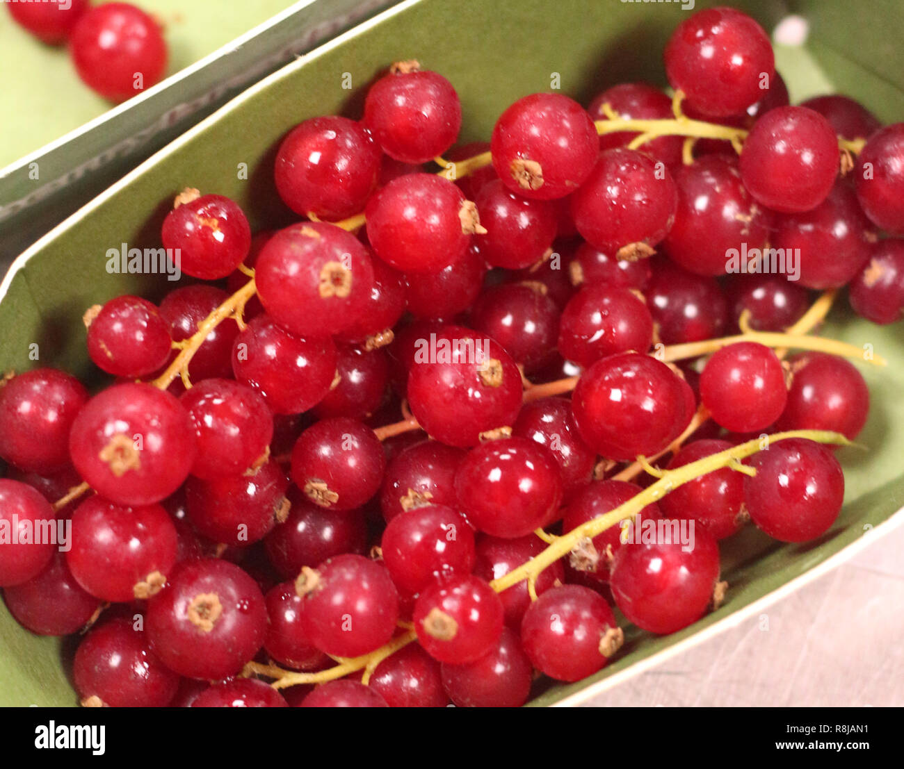 Black currant plant container hi-res stock photography and images - Alamy