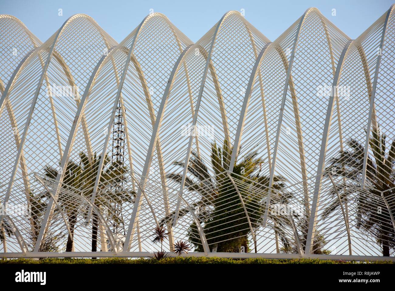 Rounded structure of a tree hi-res stock photography and images - Alamy