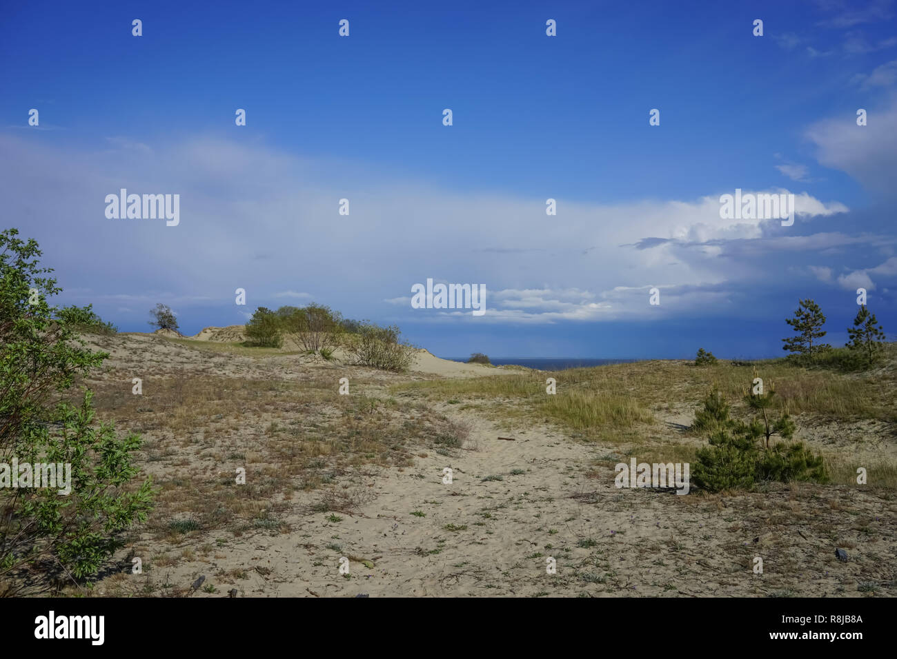 Sea landscape of the Baltic sea with coastal sand dunes of the Curonian ...