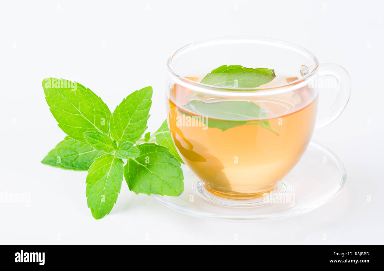Mint tea. Cup of tea with fresh mint leaves on a white background Stock ...
