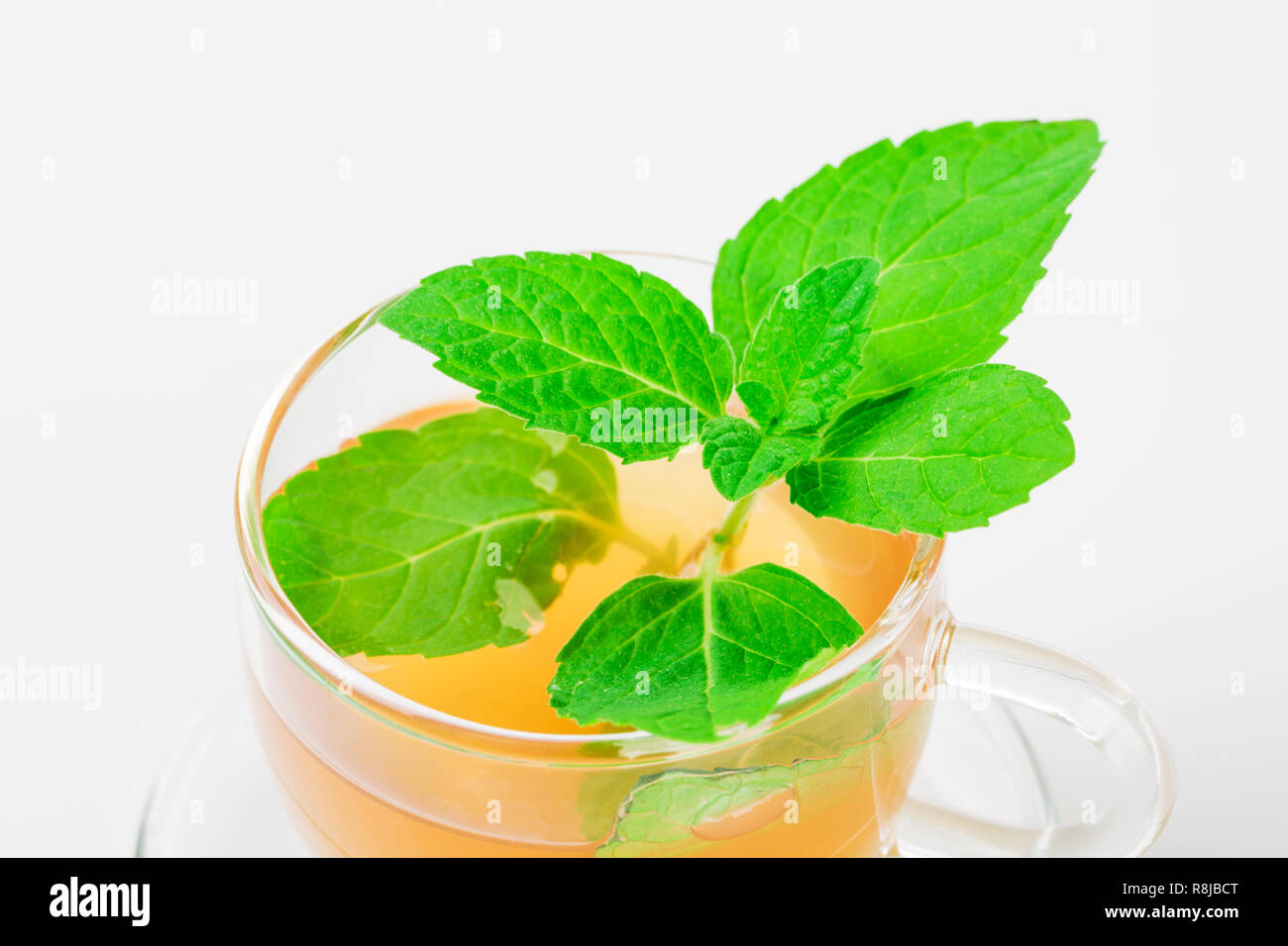 Mint tea. Cup of tea with fresh mint leaves on a white background Stock ...
