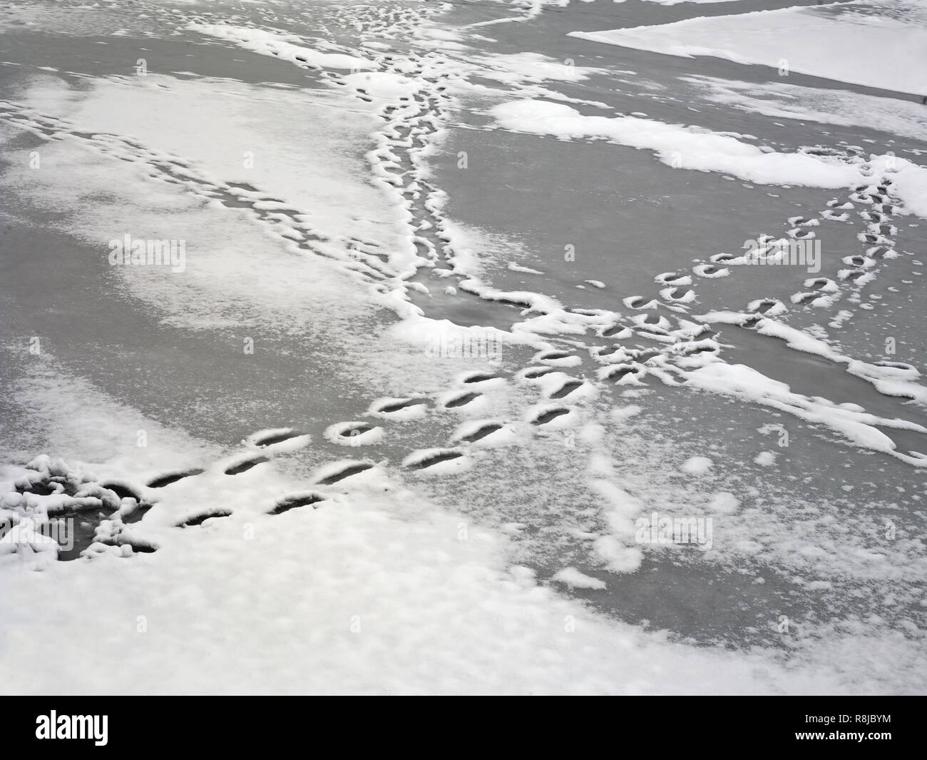 Nature melting ice structure hi-res stock photography and images - Alamy
