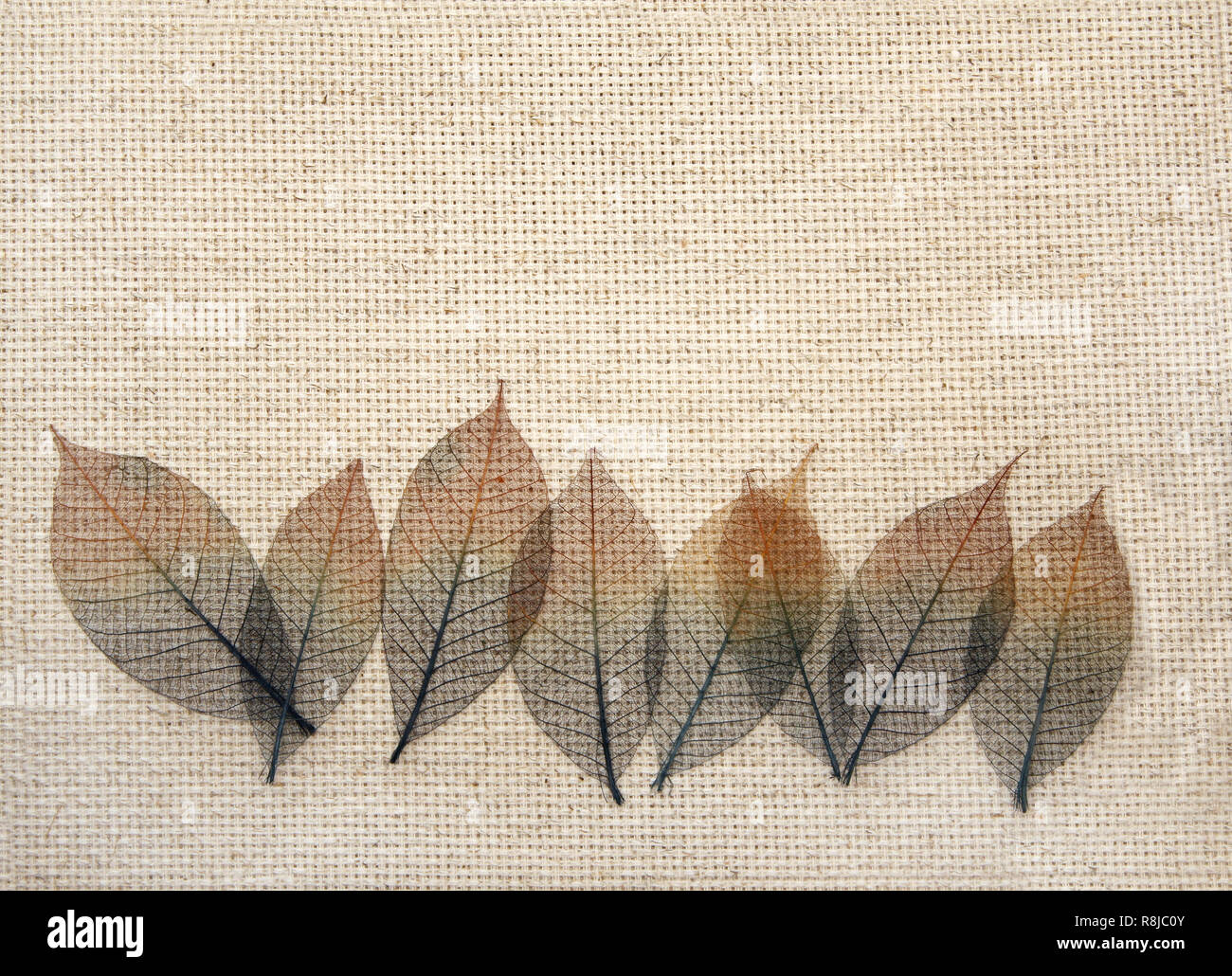 Leaves on canvas hi-res stock photography and images - Alamy
