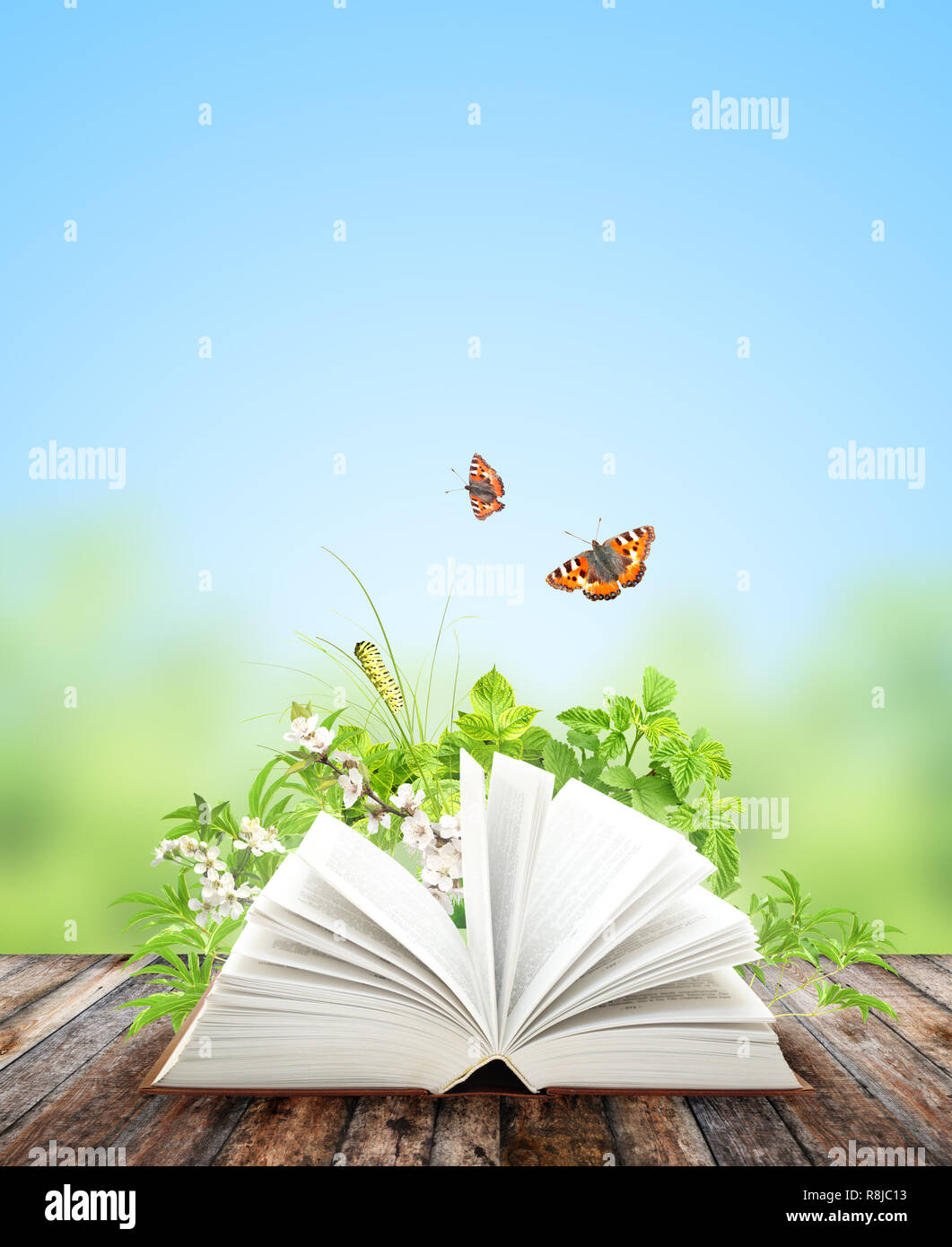 Book of nature on green background Stock Photo - Alamy