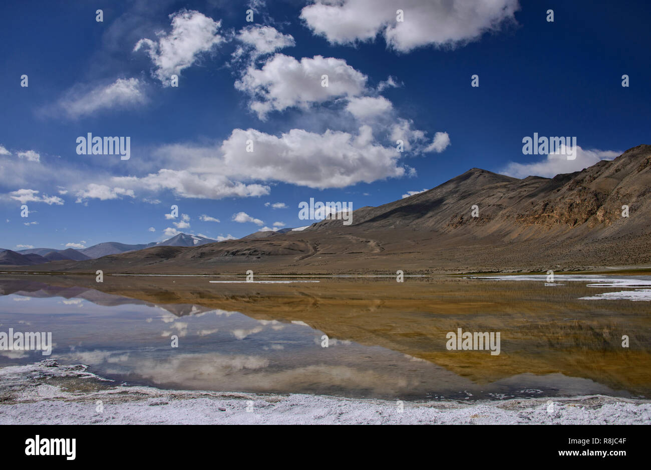Trekking along Tso Kar Lake, Ladakh, Indiavi Stock Photo - Alamy