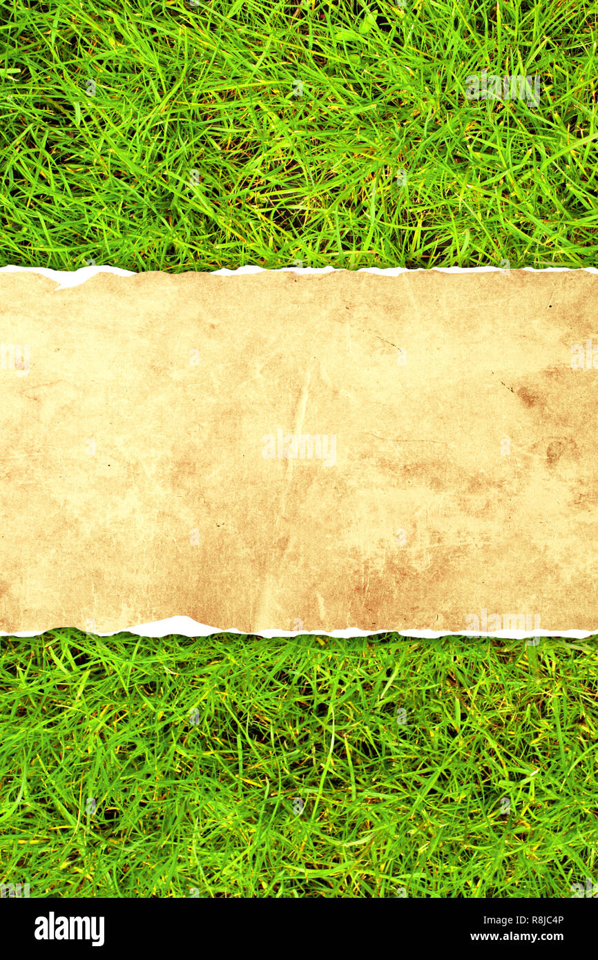 Green grass and old paper Stock Photo - Alamy