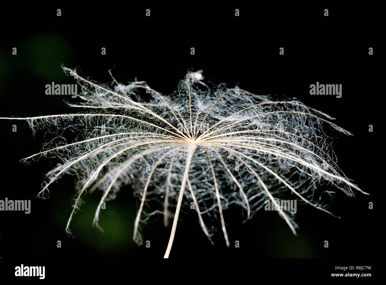Dispersion mechanism hi-res stock photography and images - Alamy
