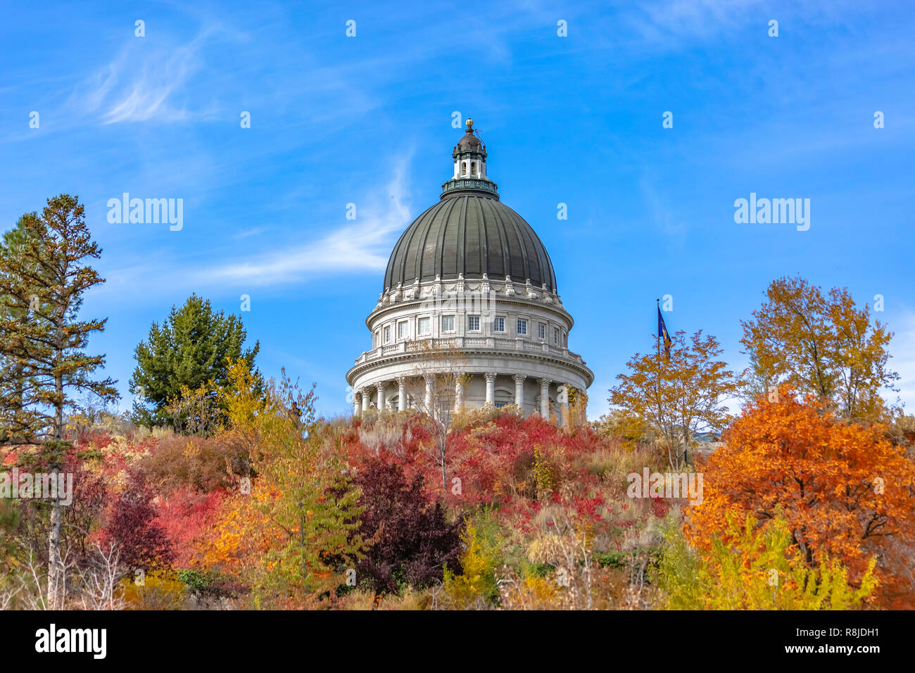Dome of the capital building peaking over trees Stock Photo - Alamy
