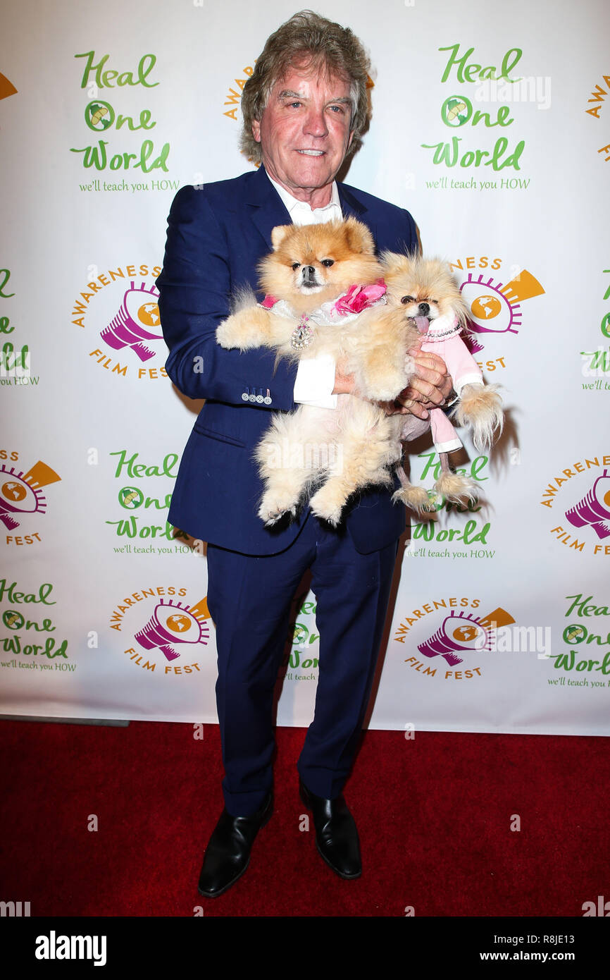 LOS ANGELES, CA, USA - OCTOBER 05: Ken Todd at the 2017 Awareness Film ...
