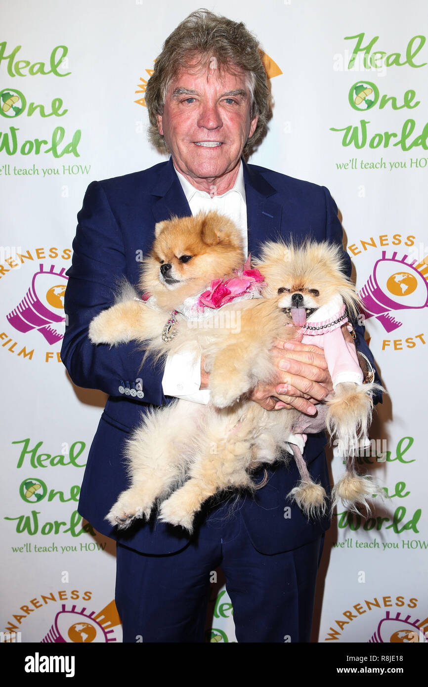 LOS ANGELES, CA, USA - OCTOBER 05: Ken Todd at the 2017 Awareness Film ...