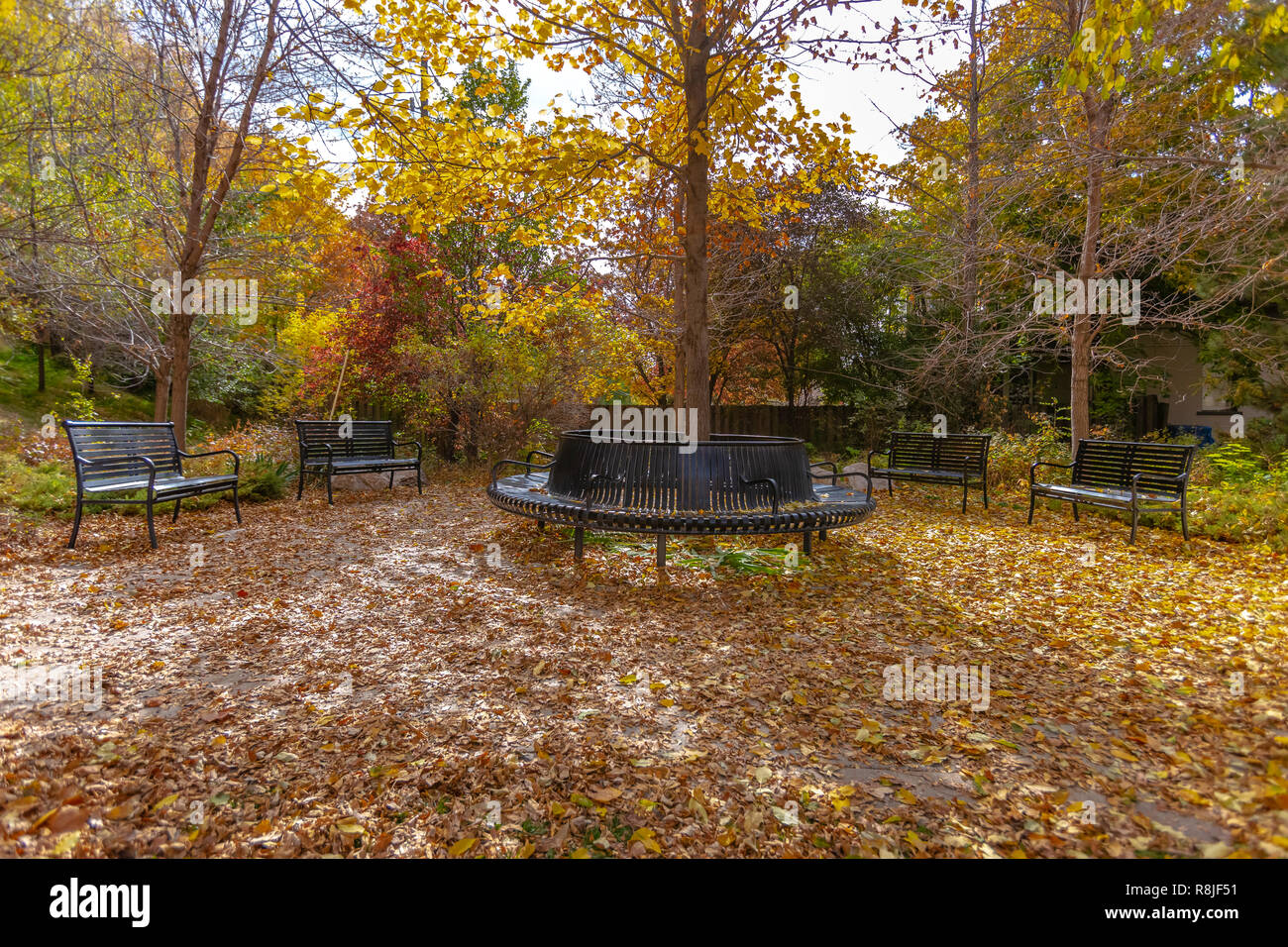 Wide angle shot of park benches in fall Stock Photo - Alamy