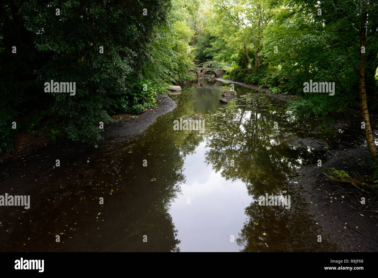Stone arch bridge,reflection,reflect,lake,pond,drought,low water ...