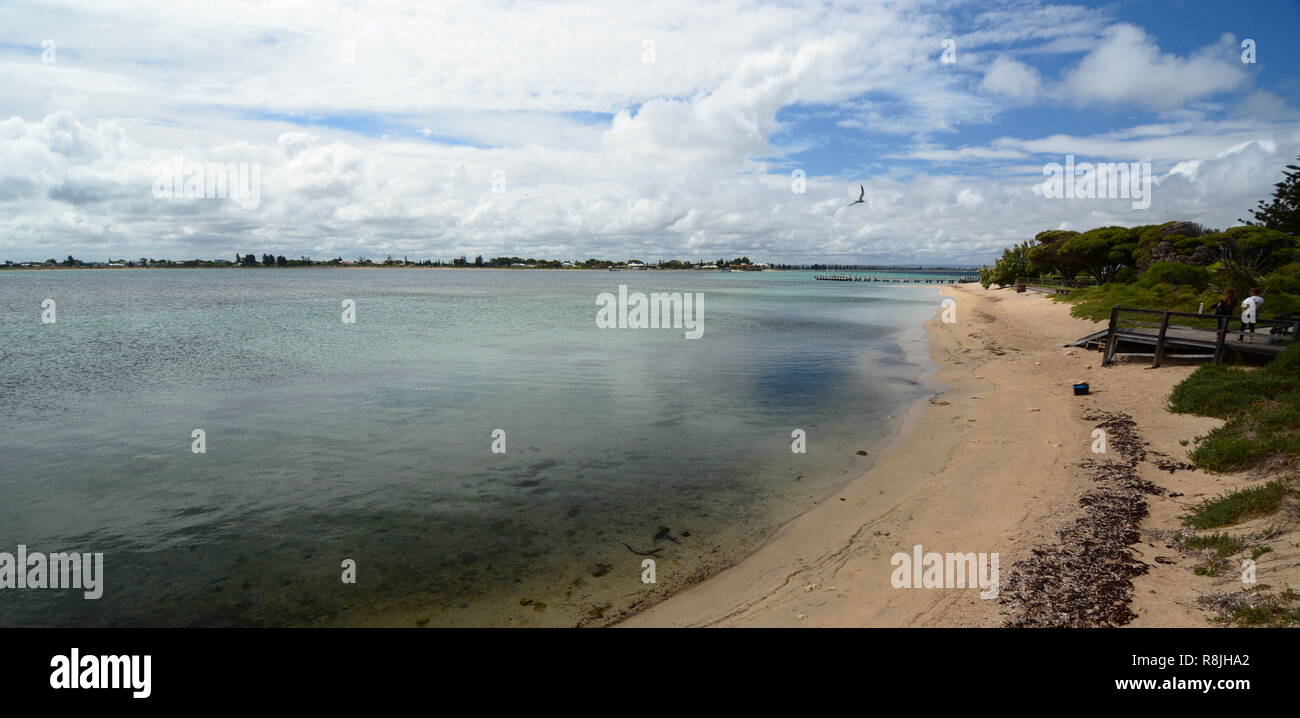 Penguin Island. Shoalwater Islands marine park. Rockingham. Western ...