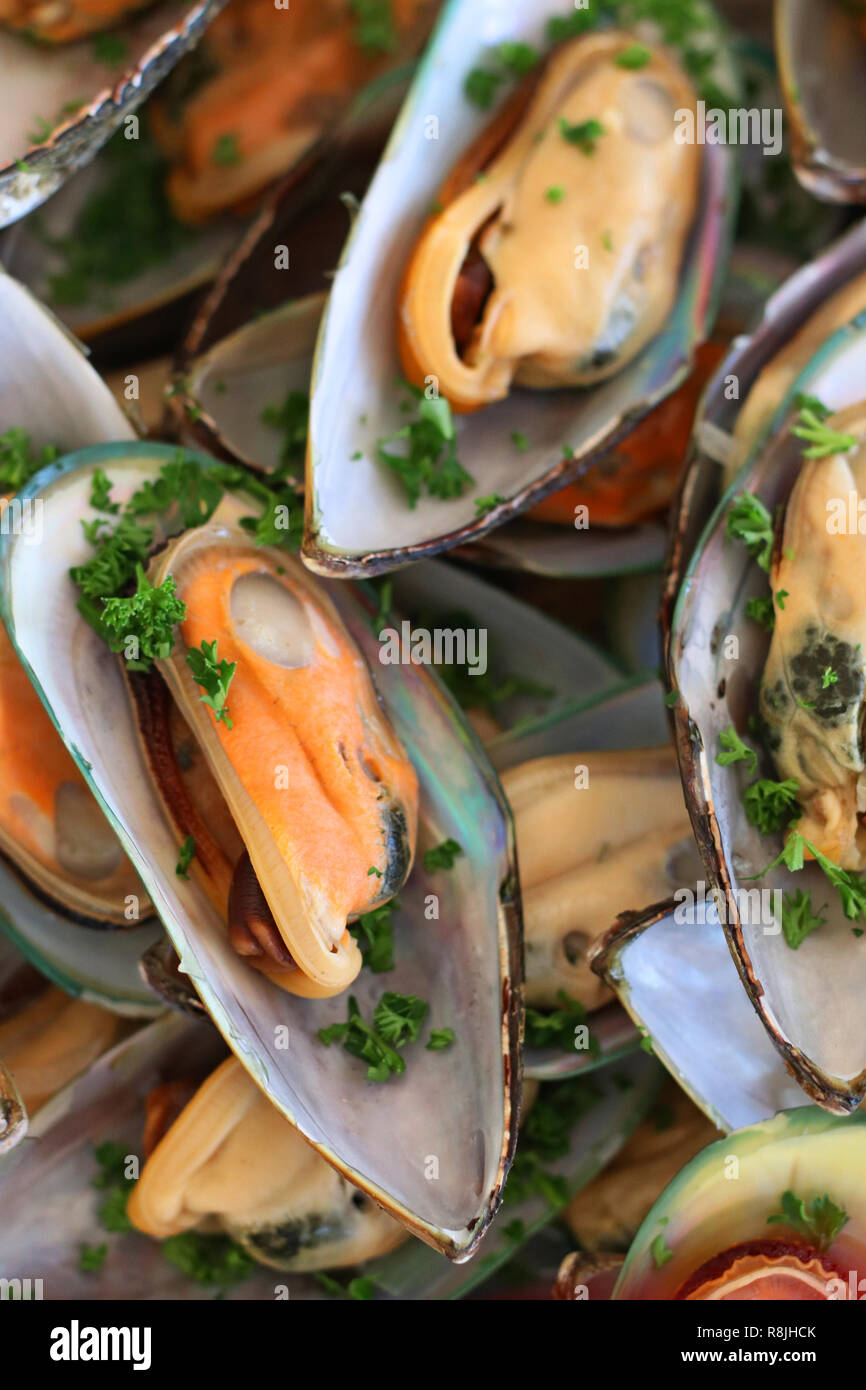 green mussel shells Stock Photo - Alamy