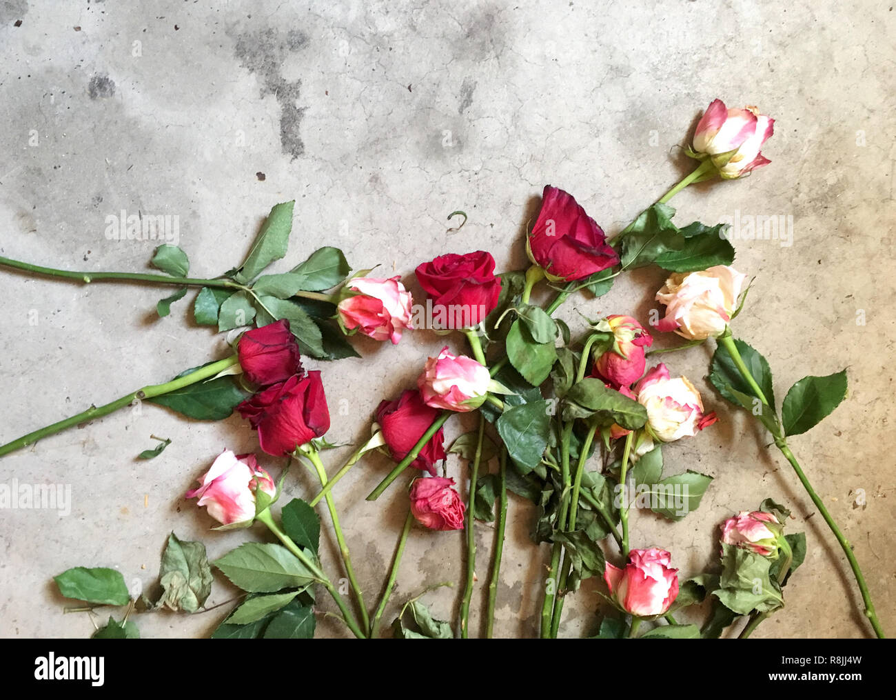 Wilted flower bouquet hi-res stock photography and images - Alamy