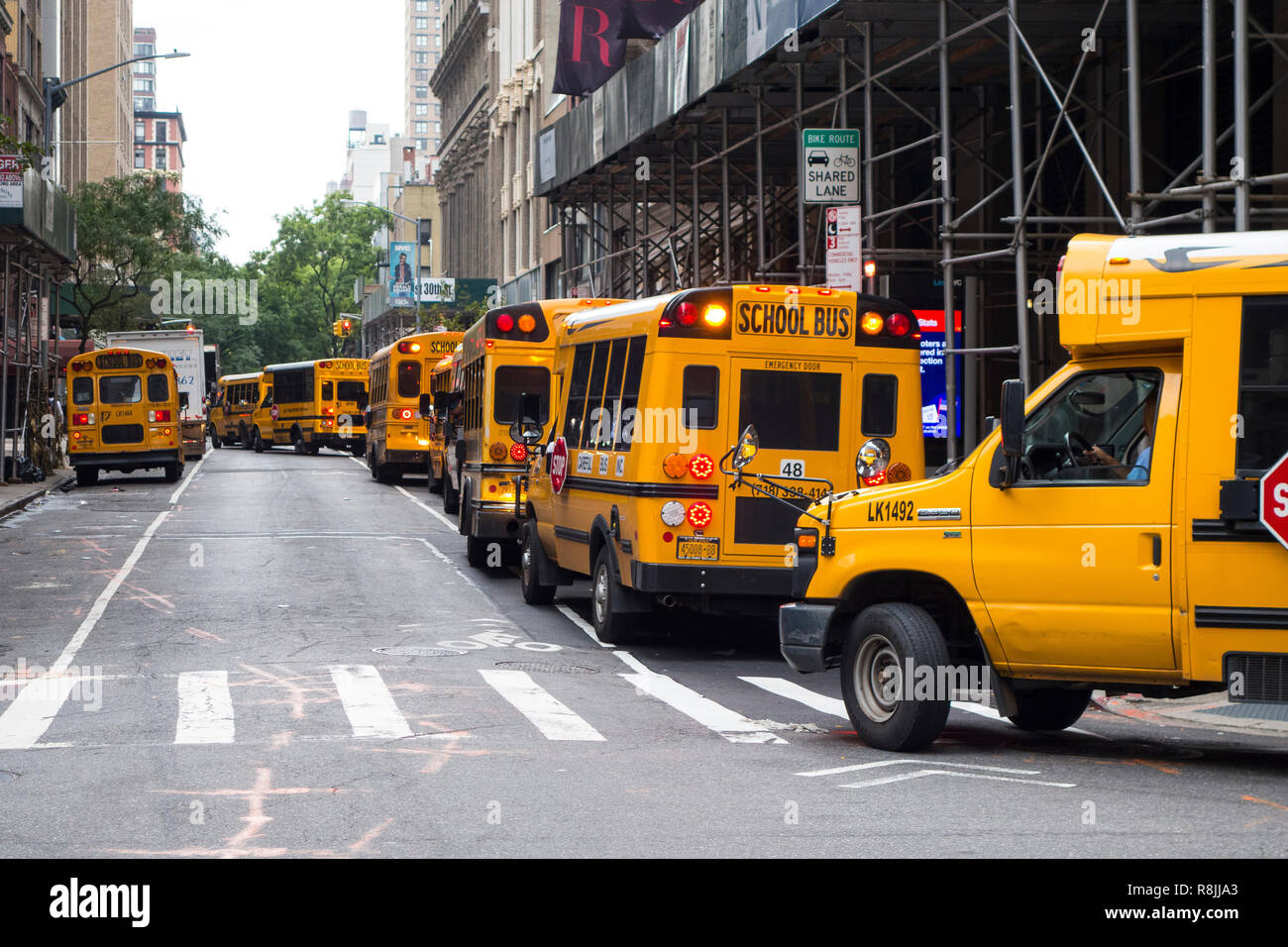 Student transportation line of school busses Stock Photo - Alamy