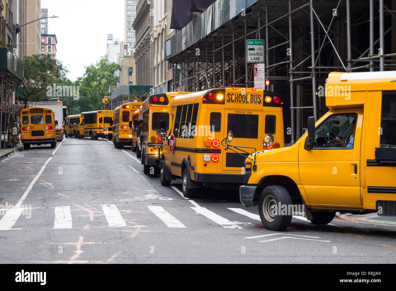 Student transportation line of school busses Stock Photo - Alamy