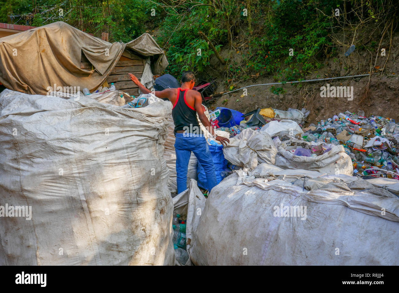 Trash dump in india hi-res stock photography and images - Alamy