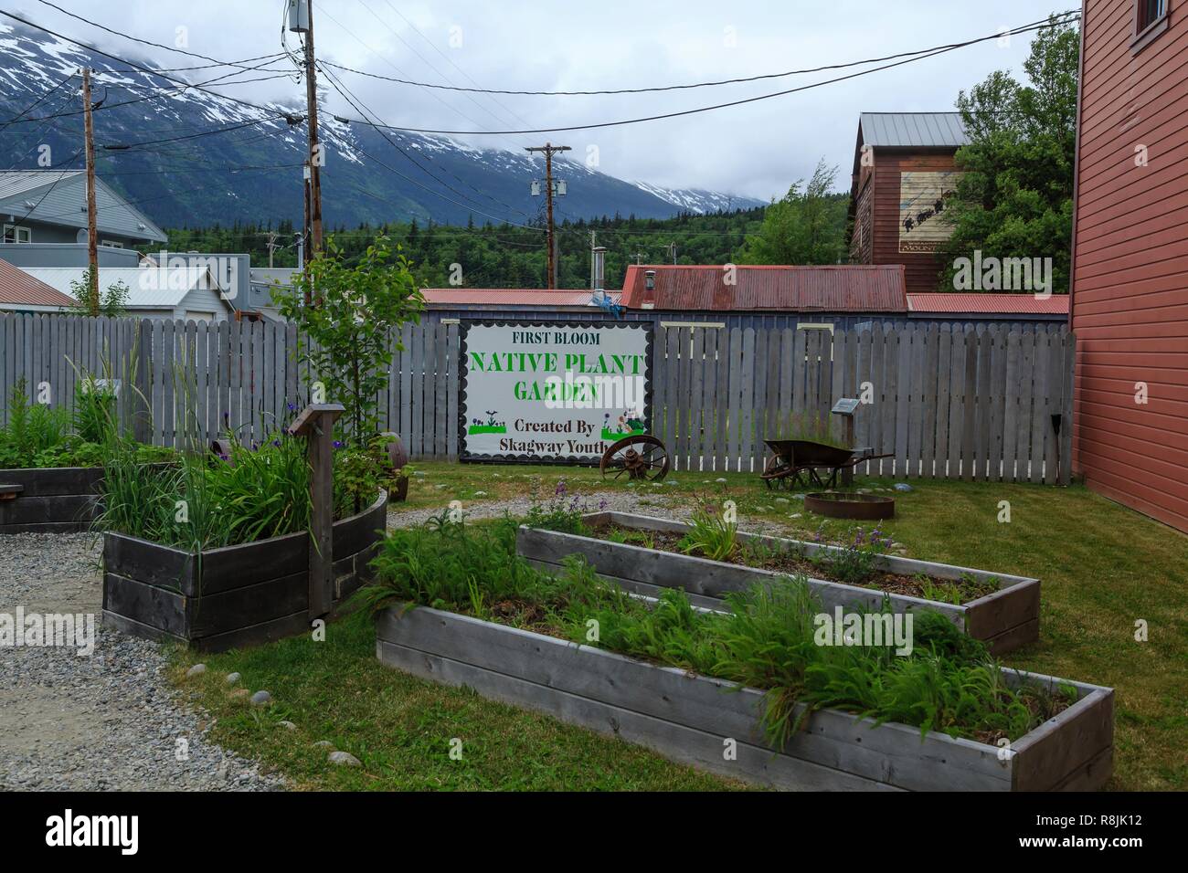 Frontier plant hi-res stock photography and images - Alamy