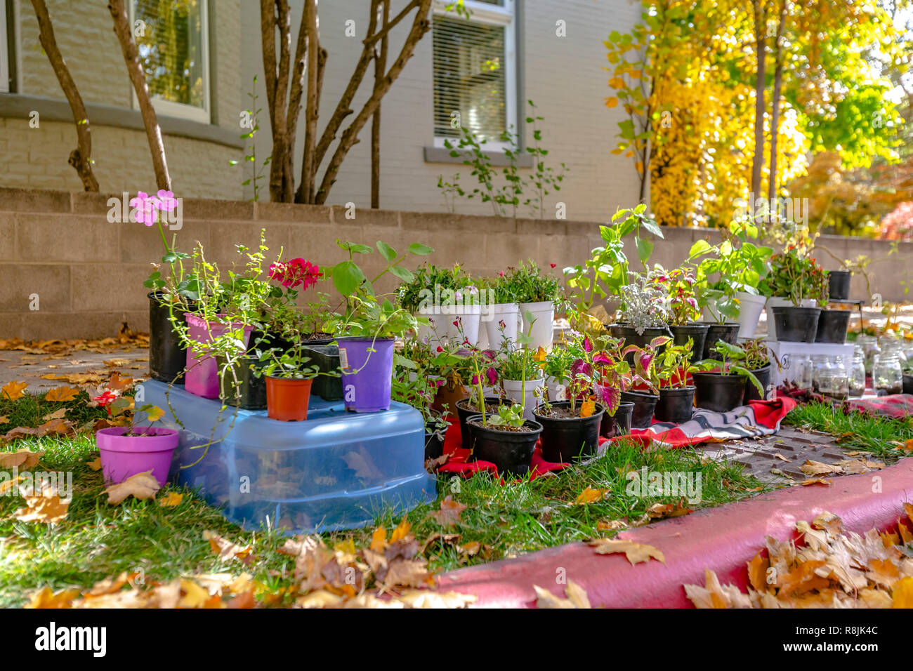 Salt Lake City plant sale on the side of road Stock Photo - Alamy