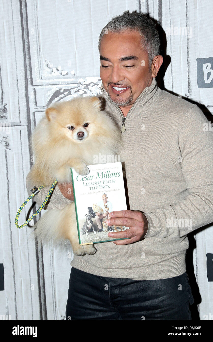 NEW YORK, NY - FEBRUARY 17: Cesar Millan attends Build Series to ...