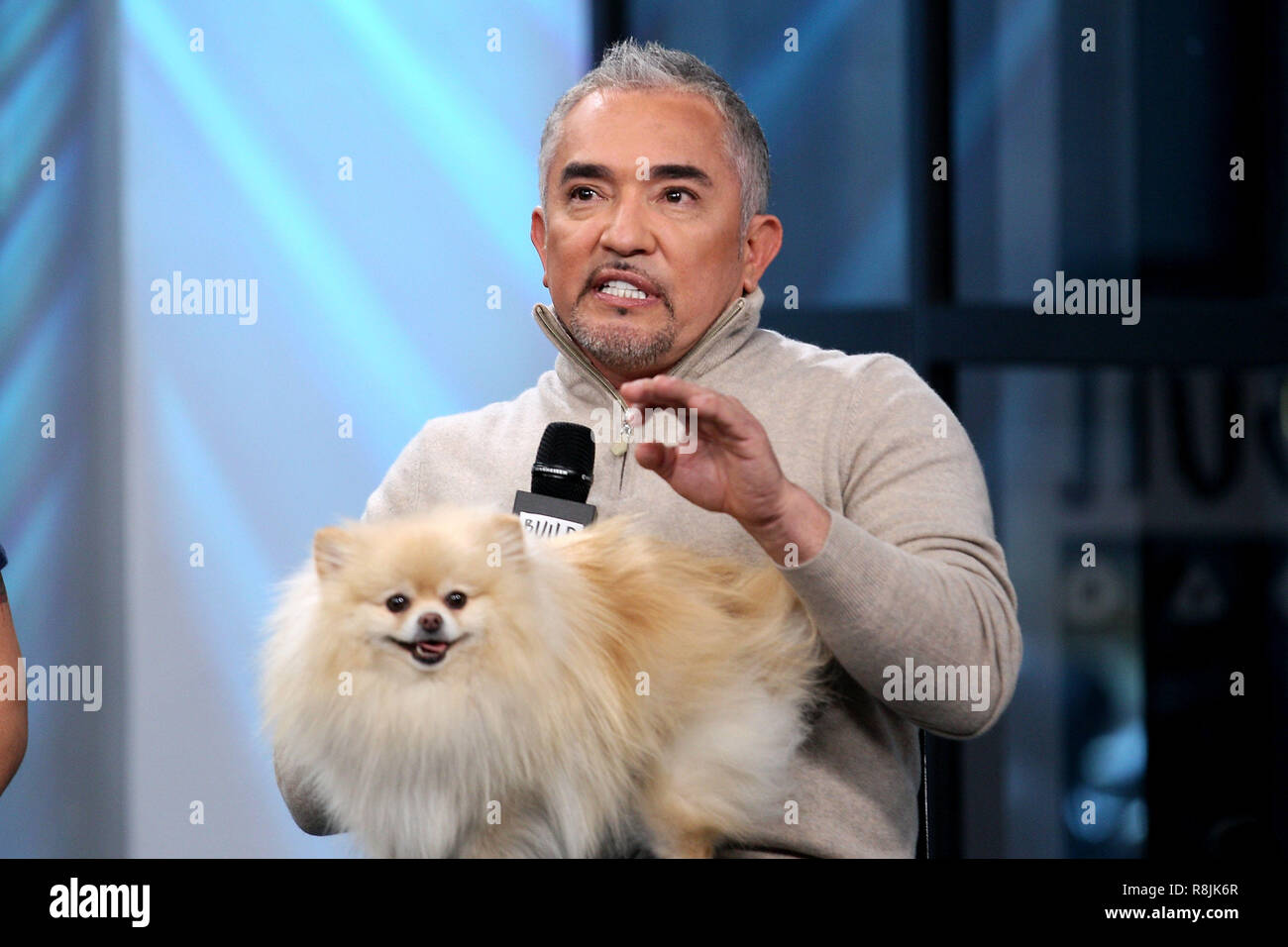 NEW YORK, NY - FEBRUARY 17: Cesar Millan attends Build Series to ...