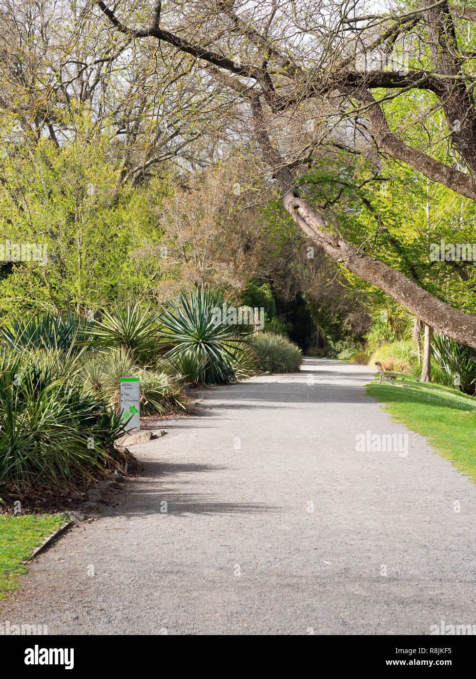 Path Through The Christchurch Botanical Gardens Stock Photo - Alamy
