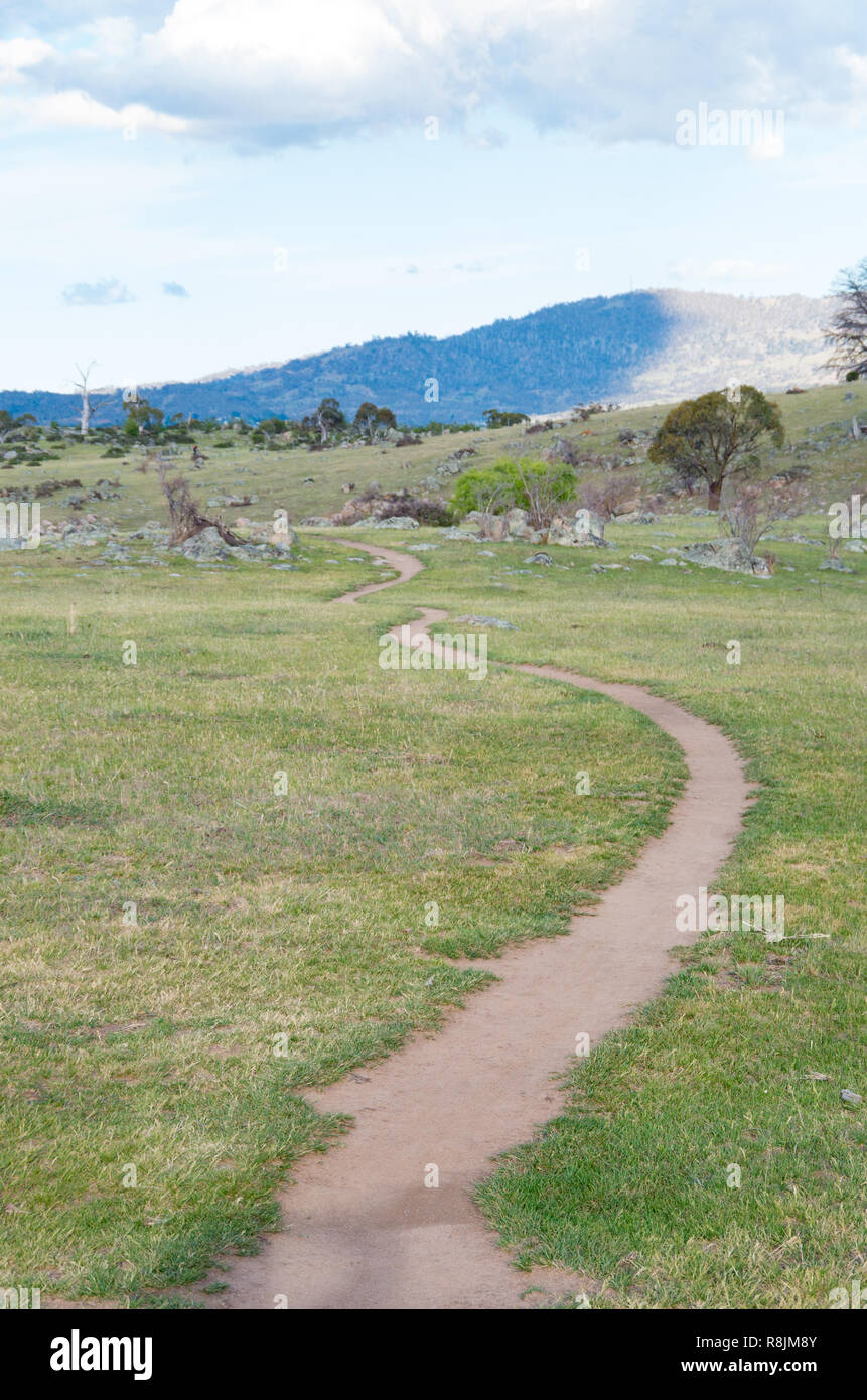 Winding dirt path through an open field as the light starts to fade ...