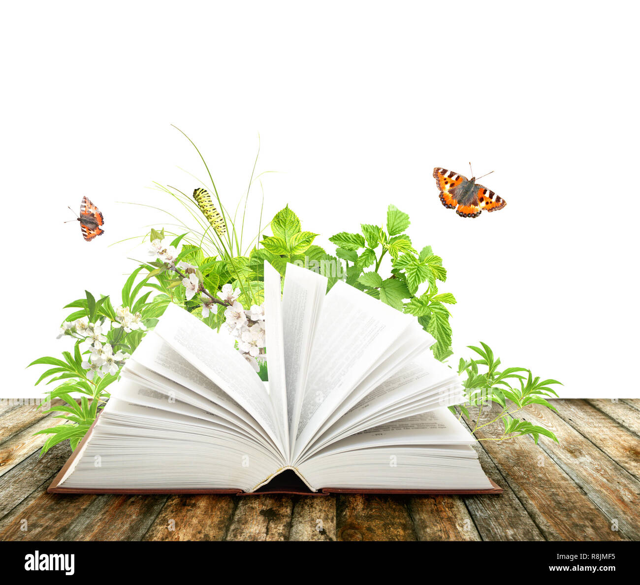 Book of nature. Isolated over white Stock Photo - Alamy