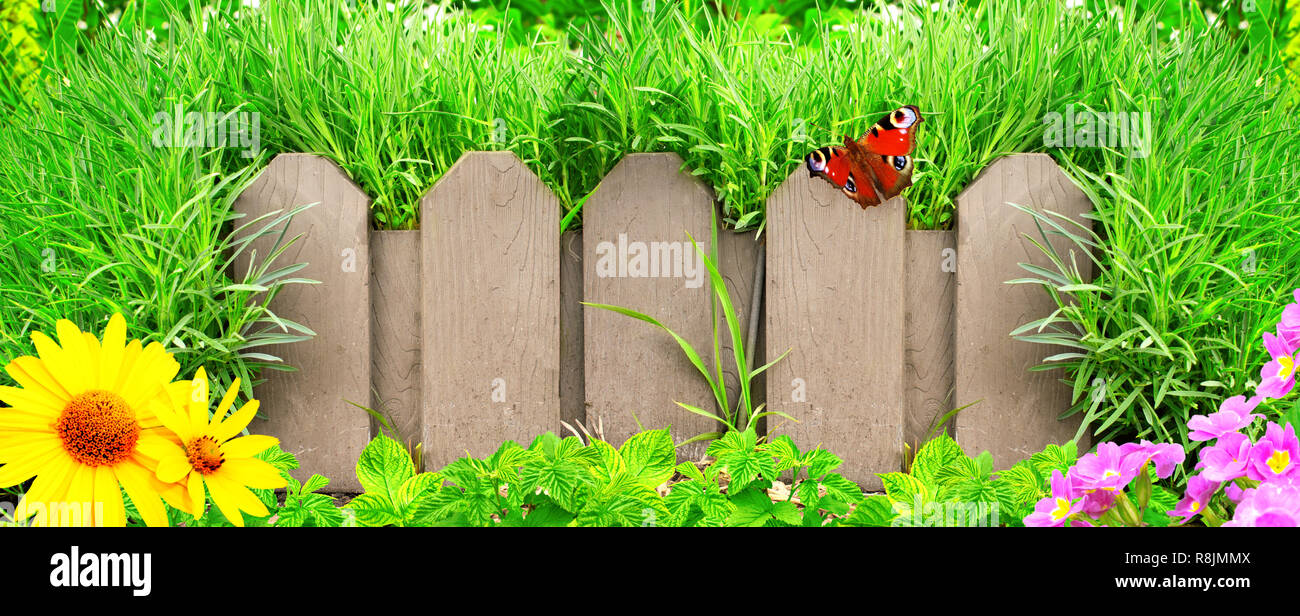Summer background with old wooden fence and green grass Stock Photo - Alamy