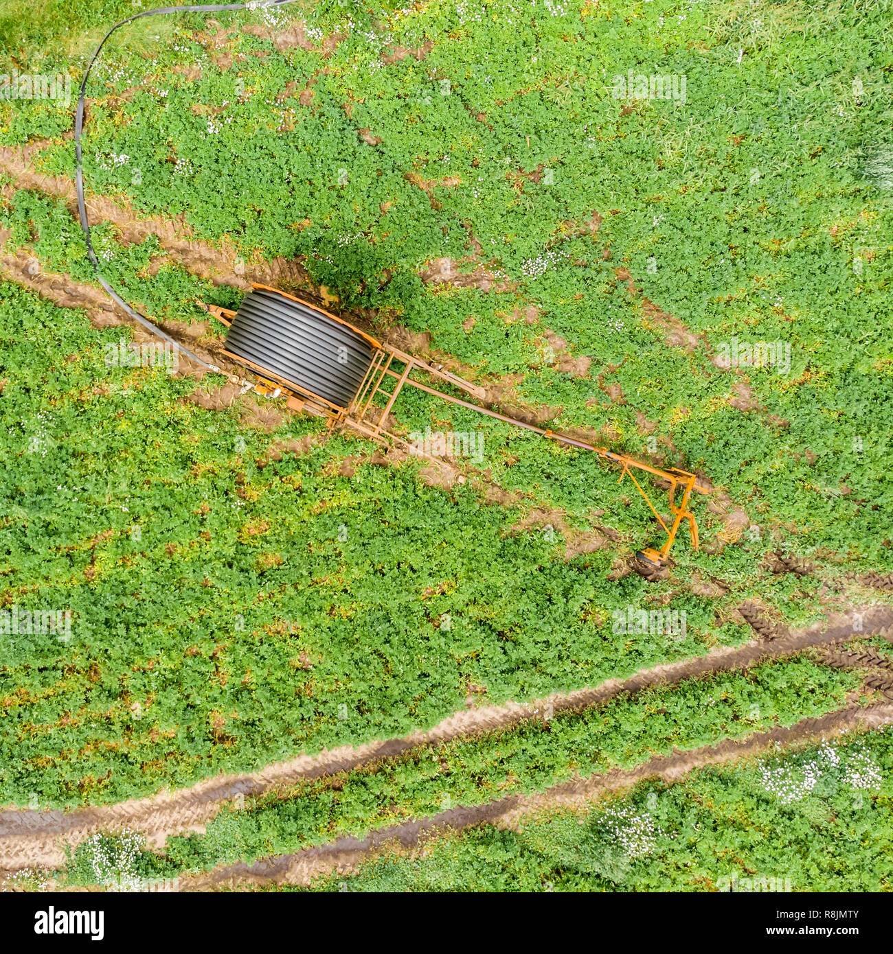 Vertical aerial view with the drone of a huge hose reel for irrigation ...