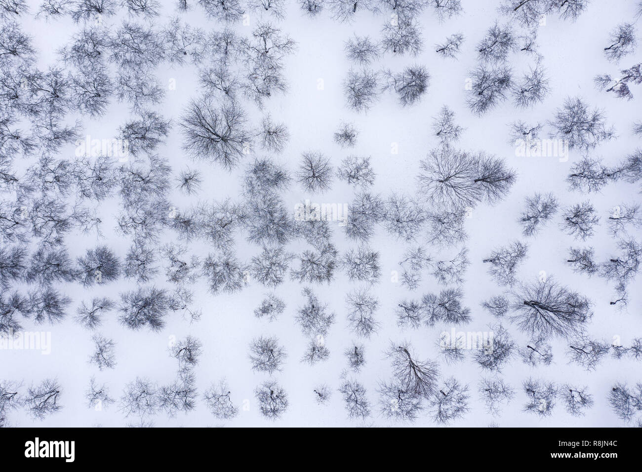 Aerial view apple orchard in hi-res stock photography and images - Alamy