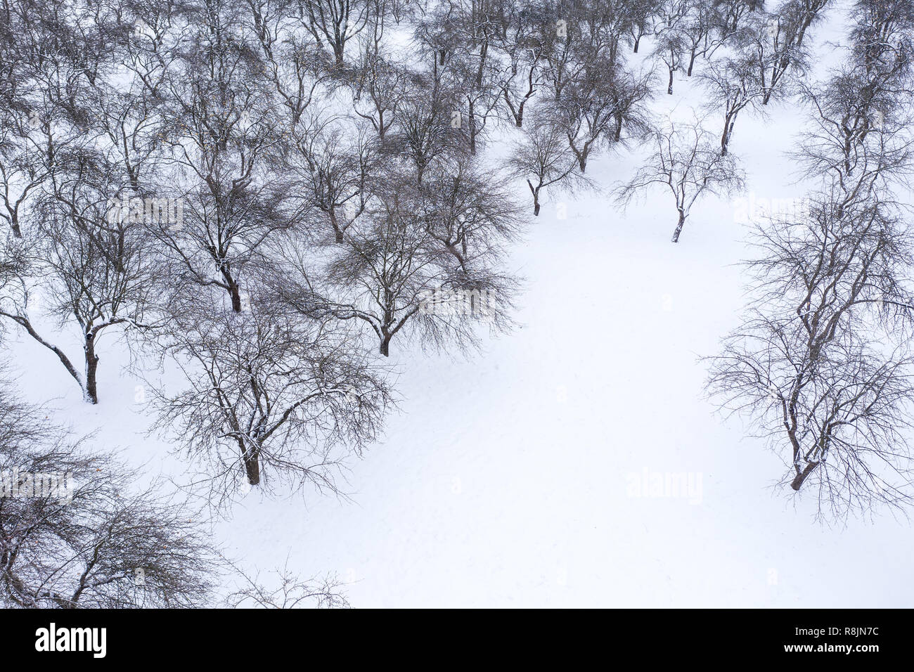 Aerial view apple orchard in hi-res stock photography and images - Alamy