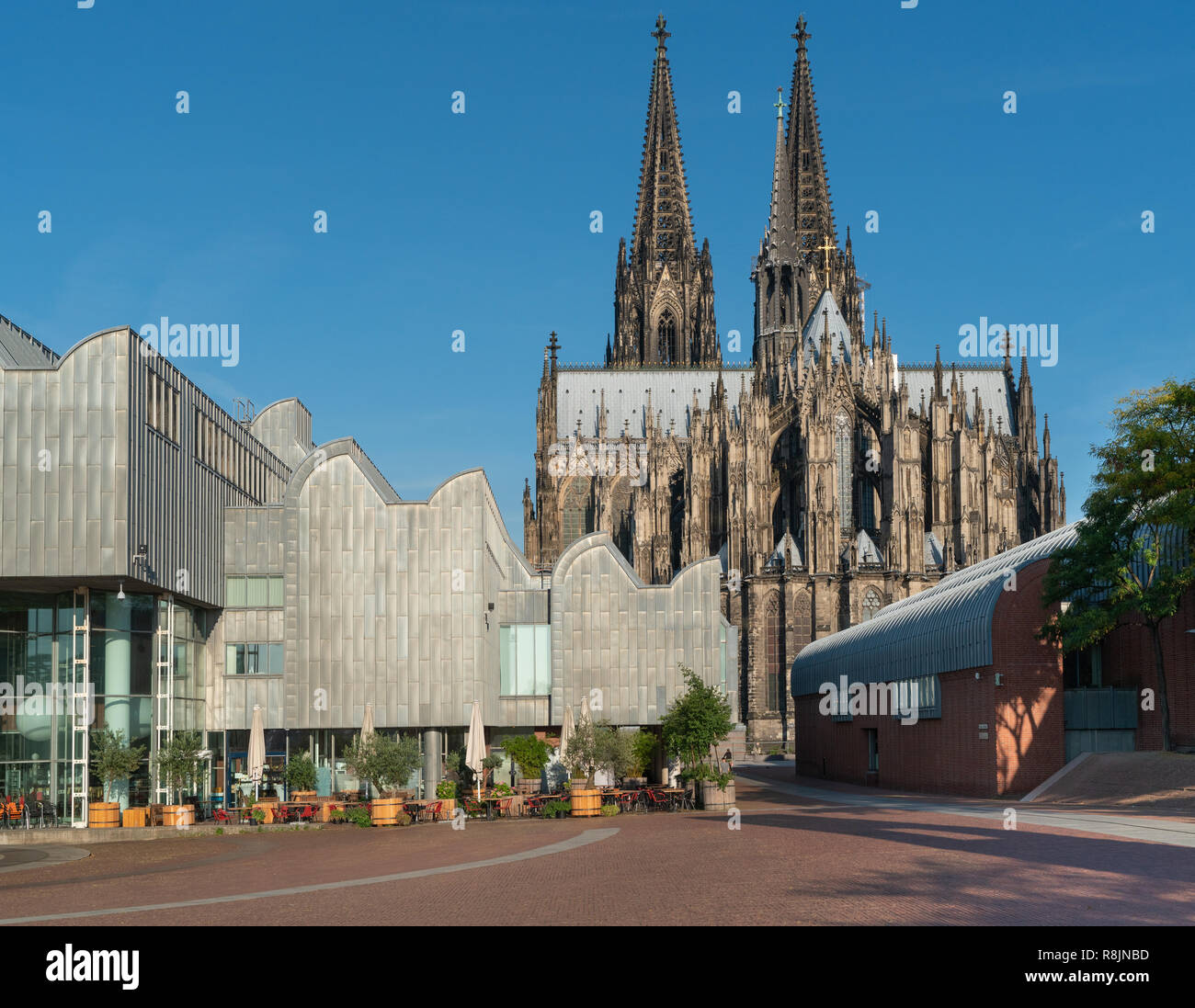 Cathedral of Cologne in early morning light, Germany, Europe Stock ...