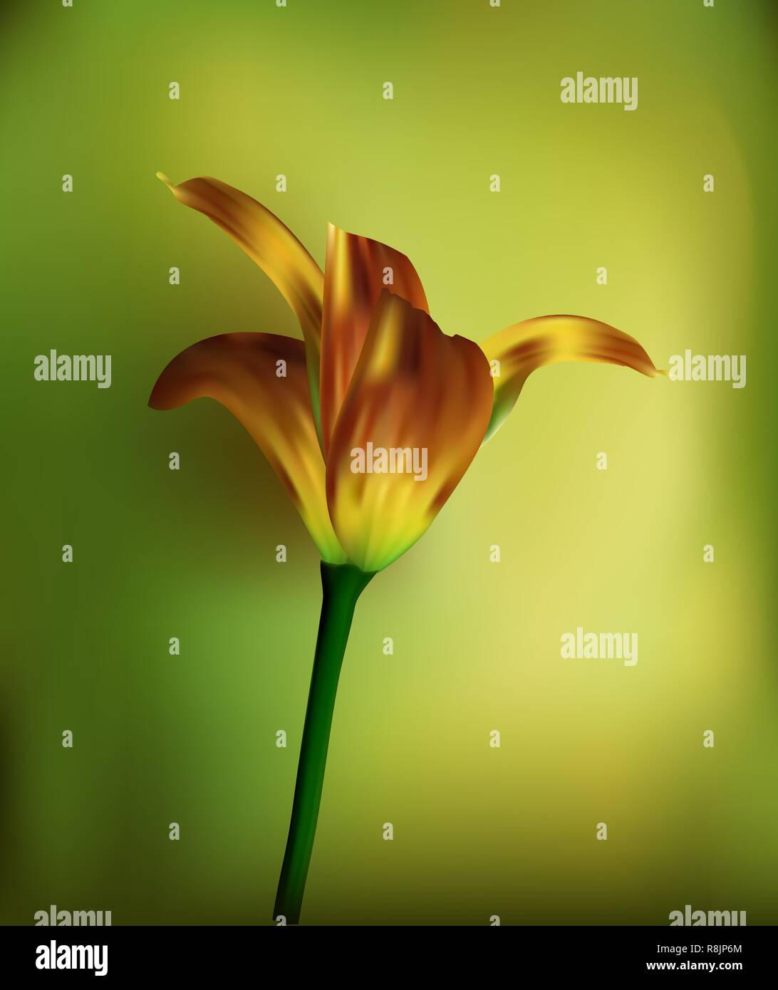 Golden tulips Stock Vector Images - Alamy
