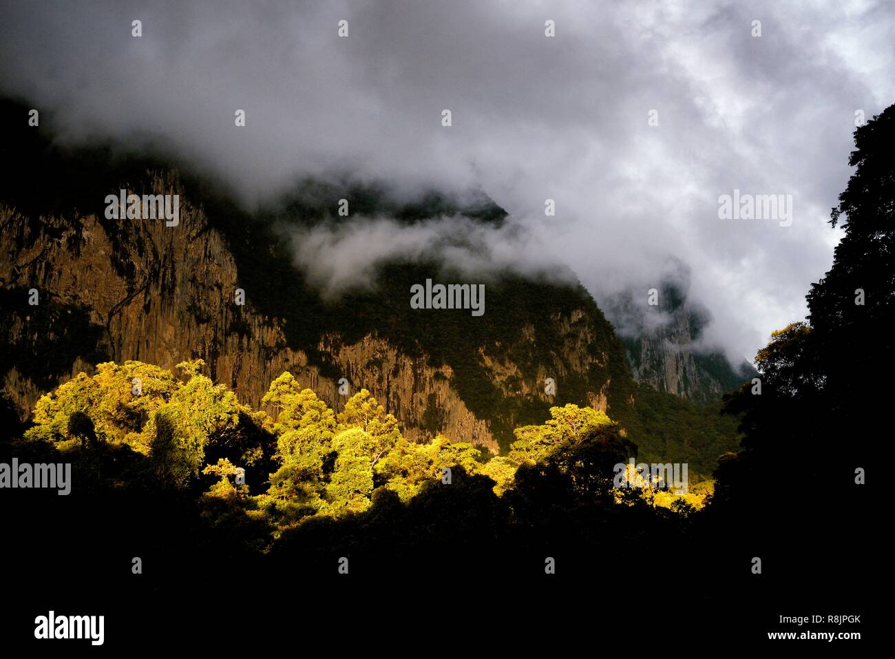Malaysia, Borneo, Sarawak, Gunung Mulu National Park listed as World ...