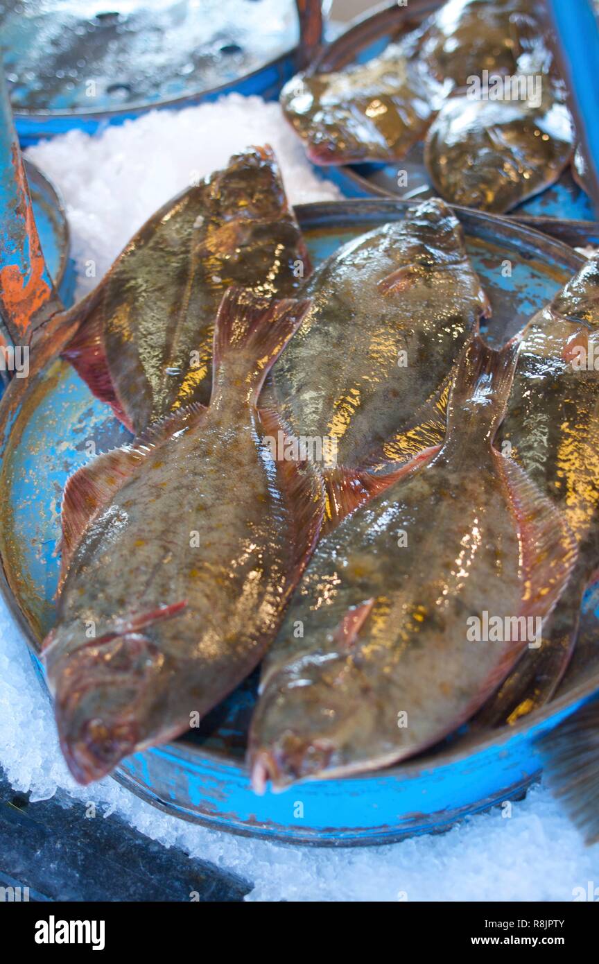 Belgium, West Flanders province, Ostend, fish market Stock Photo - Alamy