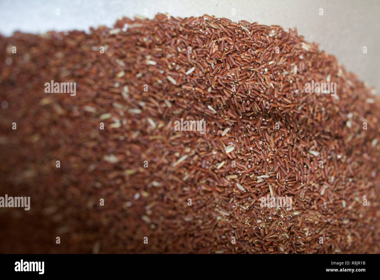 Thailand, Thai rice, red rice harvest Stock Photo - Alamy