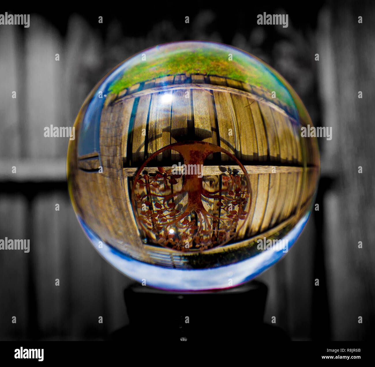 Lensball hi-res stock photography and images - Alamy