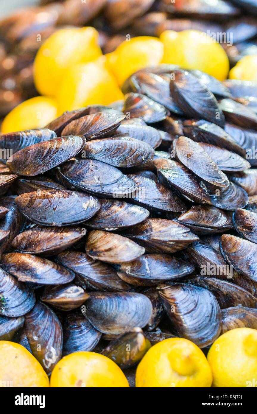 Turkey, Istanbul, Street scene, mussels Stock Photo - Alamy