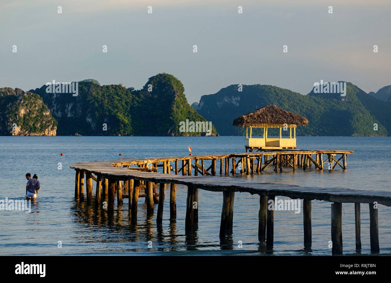 Vietnam, Ha Long bay listed as World Heritage by UNESCO, Van Don island ...