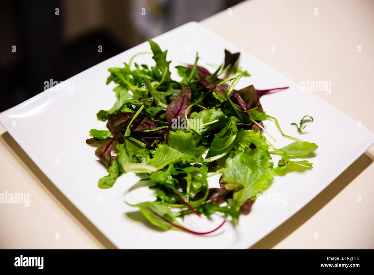 White square plate green hi-res stock photography and images - Alamy