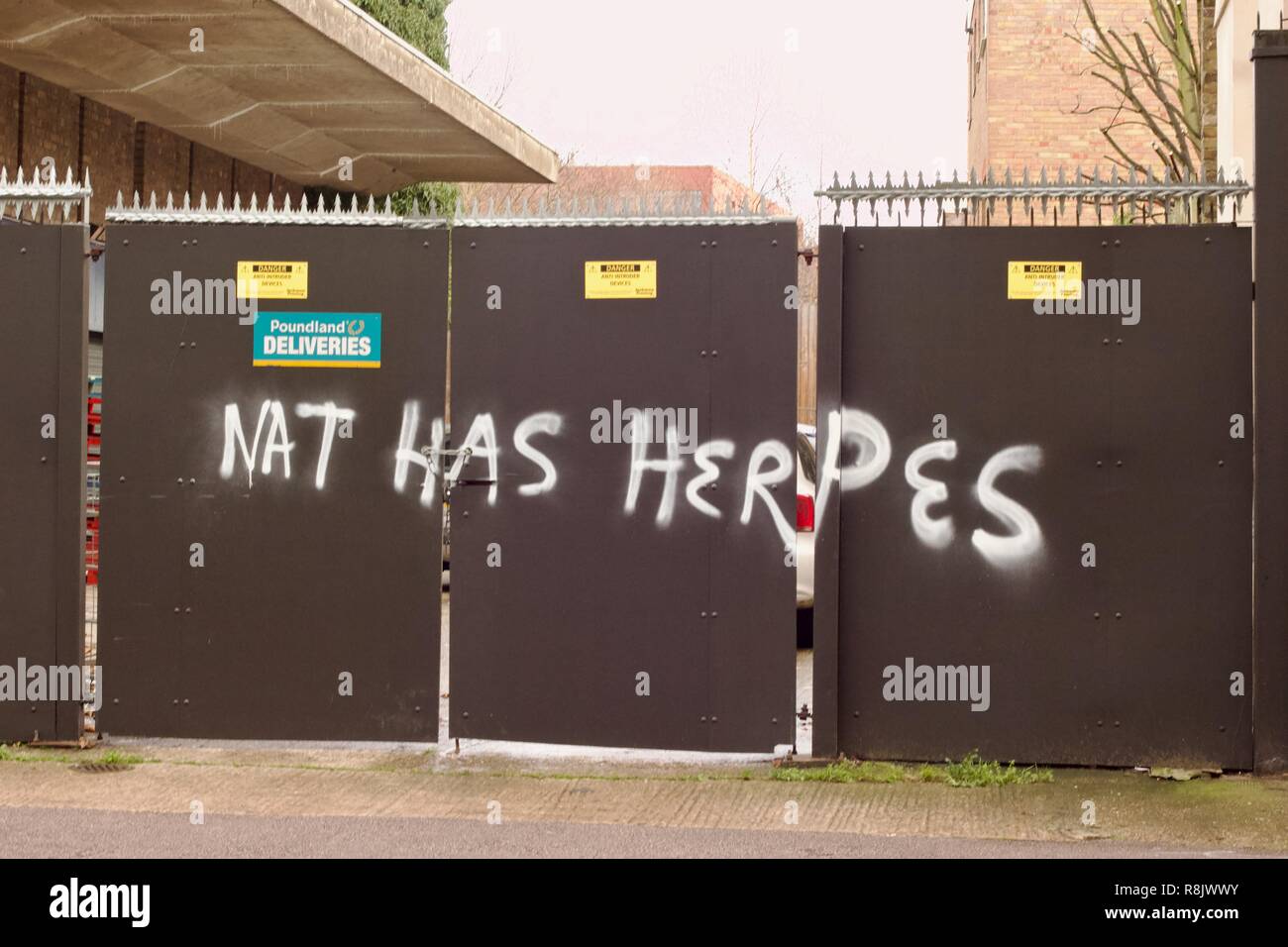 "Nat has herpes" graffiti on Poundland Deliveries gate door in Bow ...