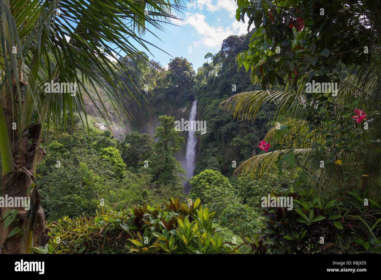 Insel cebu hi-res stock photography and images - Alamy