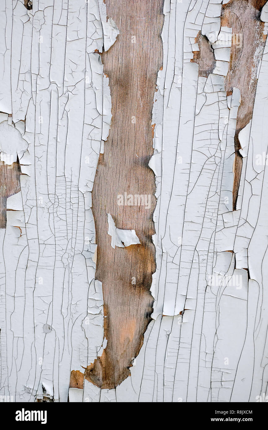 The vertically arranged natural background boards, not painted , old ...